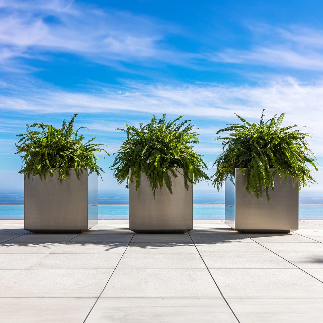 IMPRESSIVE Tall Outdoor Planters 2024 | FESFOC
